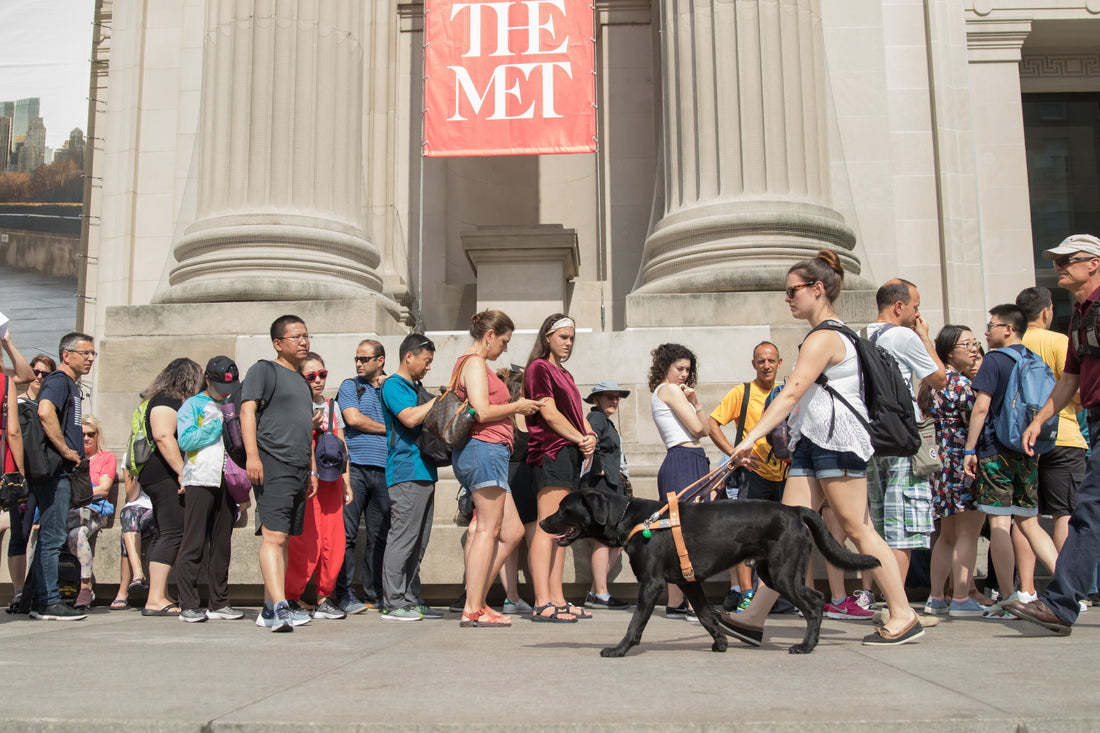 Guide Dog Foundation Second Sight® Shop