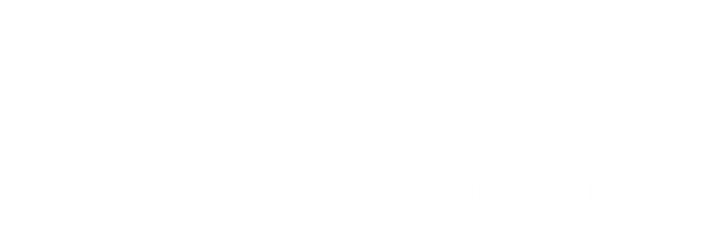 Guide Dog Foundation Second Sight® Shop