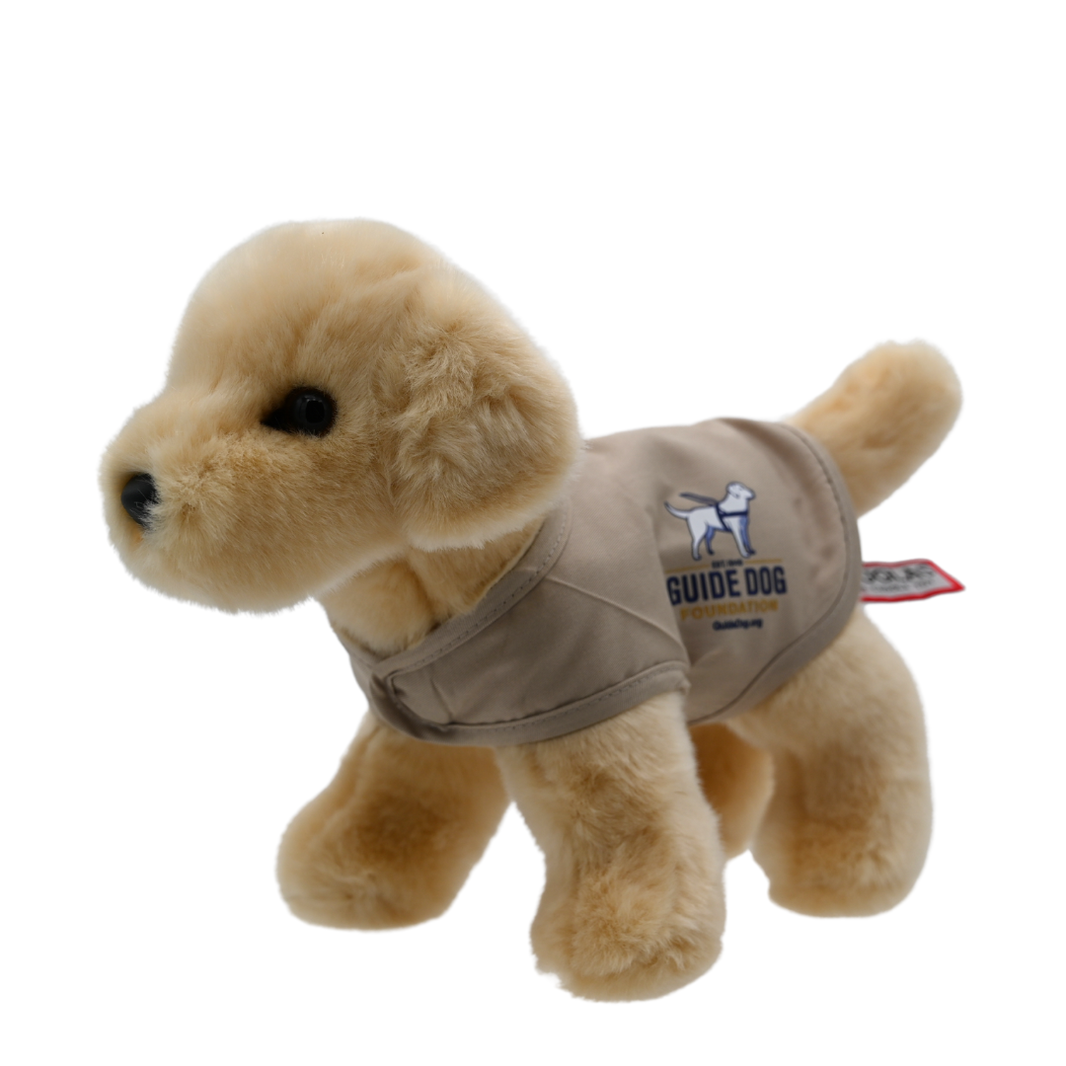 Products – Guide Dog Foundation Second Sight® Shop