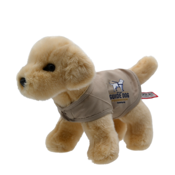 Products – Guide Dog Foundation Second Sight® Shop